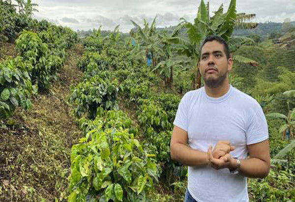 5 stages of the coffee growing process that will surprise you! - Road ...