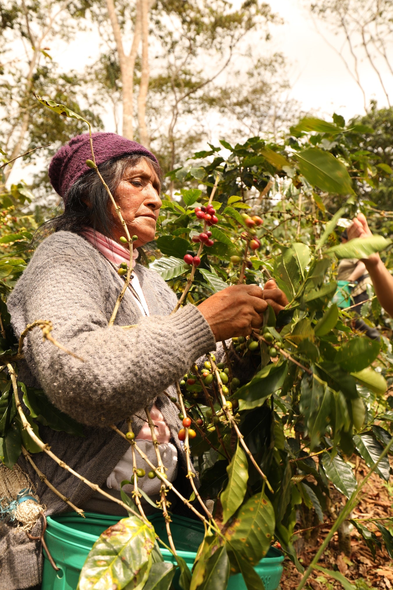 Road Coffee - More Than a Cup of Coffee. – Road Coffee Inc